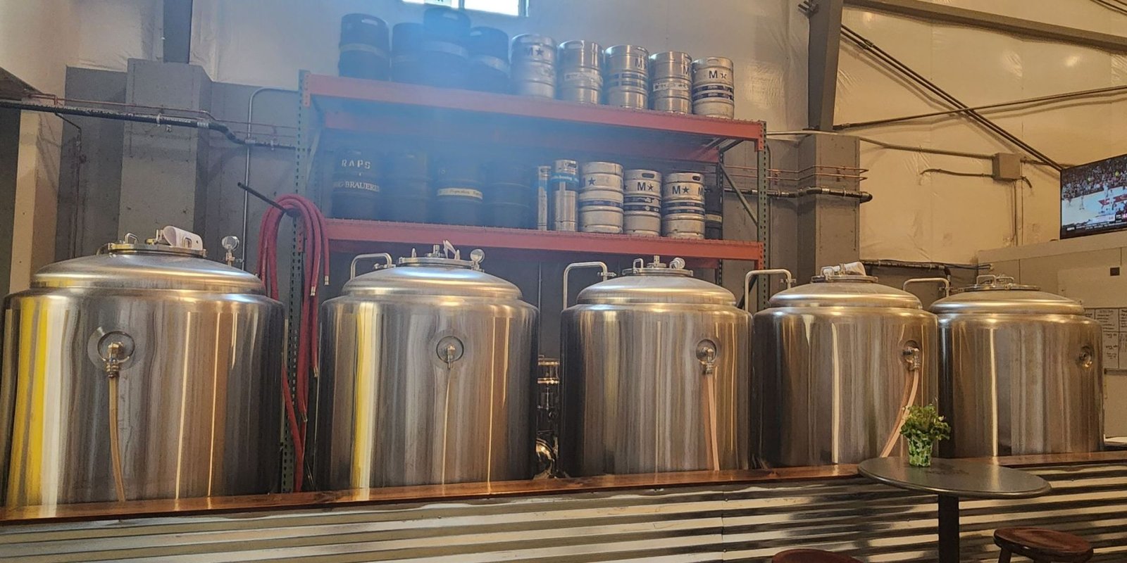 Modest Roots Brewing – Tyngsborough, MA – New England Beer Buddy